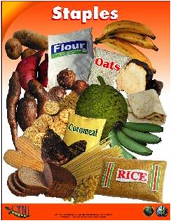 Six Food Groups used in the Caribbean