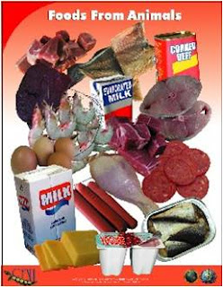 Six Food Groups used in the Caribbean