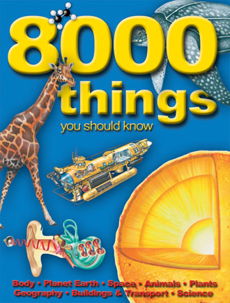 Madhouse Family Reviews: Children's Book review : 8000 Things You ...