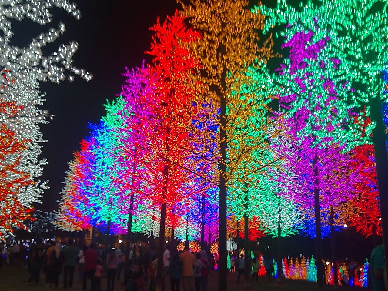 The More The Merrier: Glowing trees!!