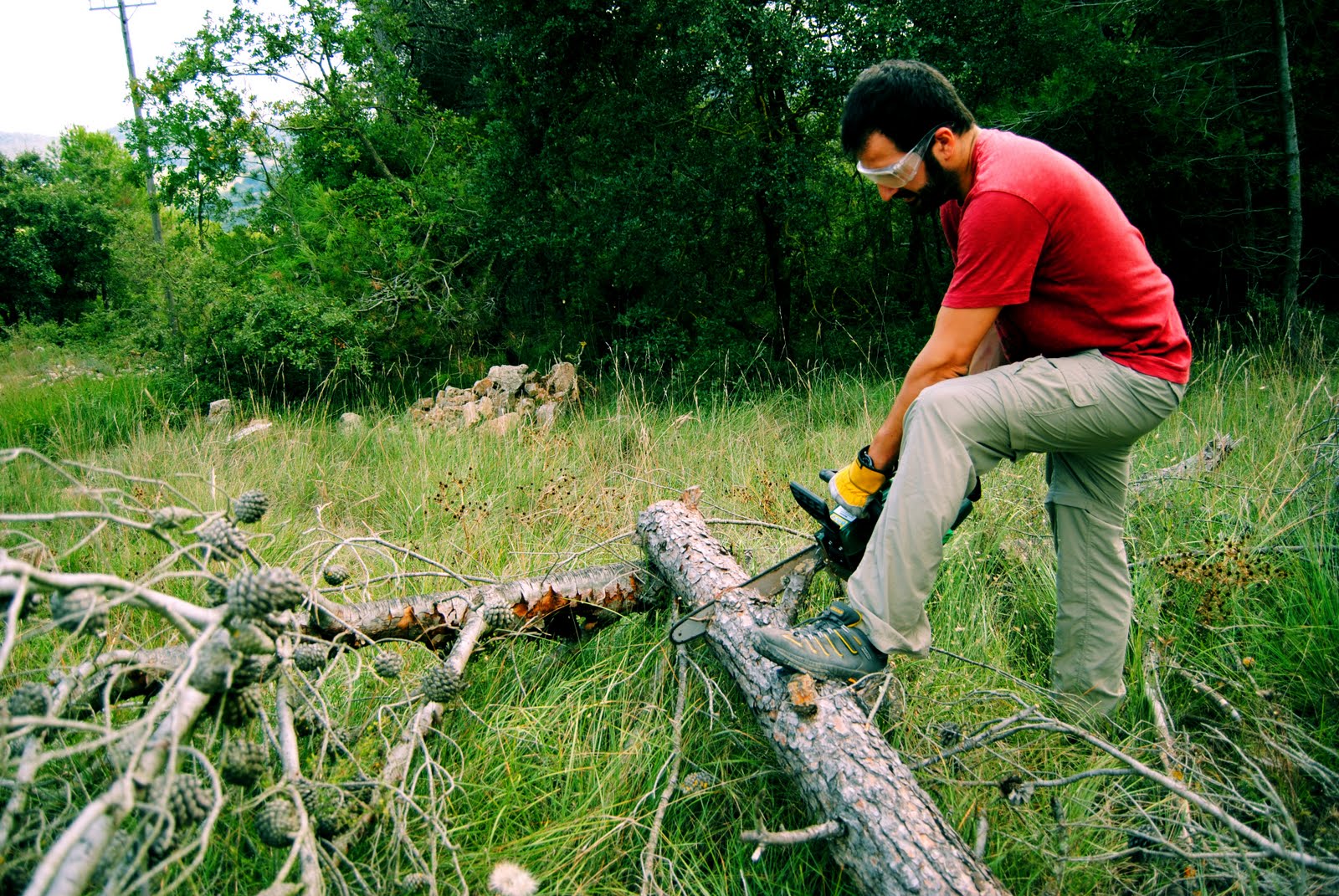 LA MIRADA DE NATRIBU: El leñador