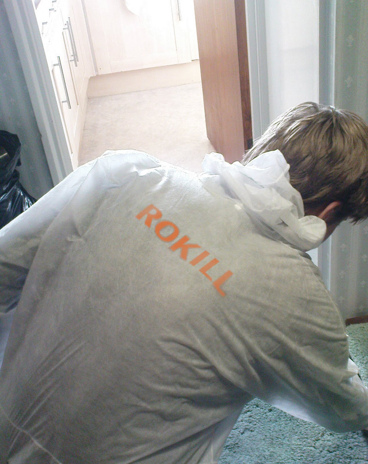 Rodents Of Unusual Size