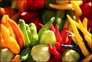 Casey (:: Types of chile