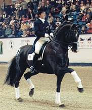 Behind the Bit: Great Dressage Stallions: Donnerhall