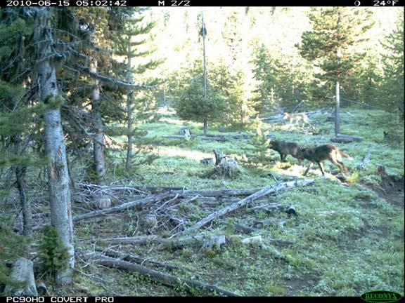 Baker County Blog: July 2010