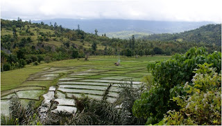 Vamos cuidar de Timor-Leste!: Distrito de Viqueque e a sua Carta de ...