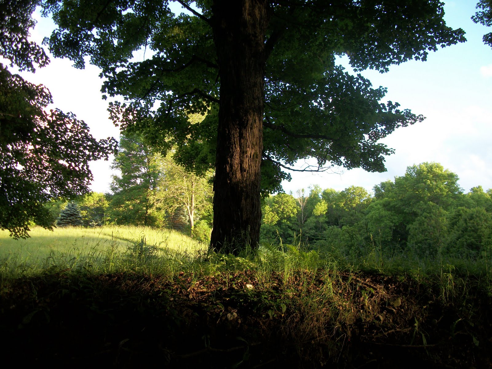 Writing Straight from the Heart: Scenic Shots of the New England ...