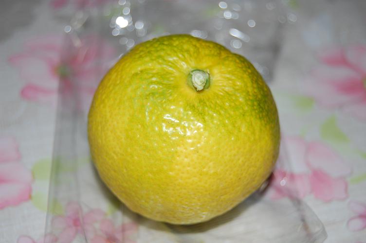 Japanese style: Jabara (a kind of sitrus)