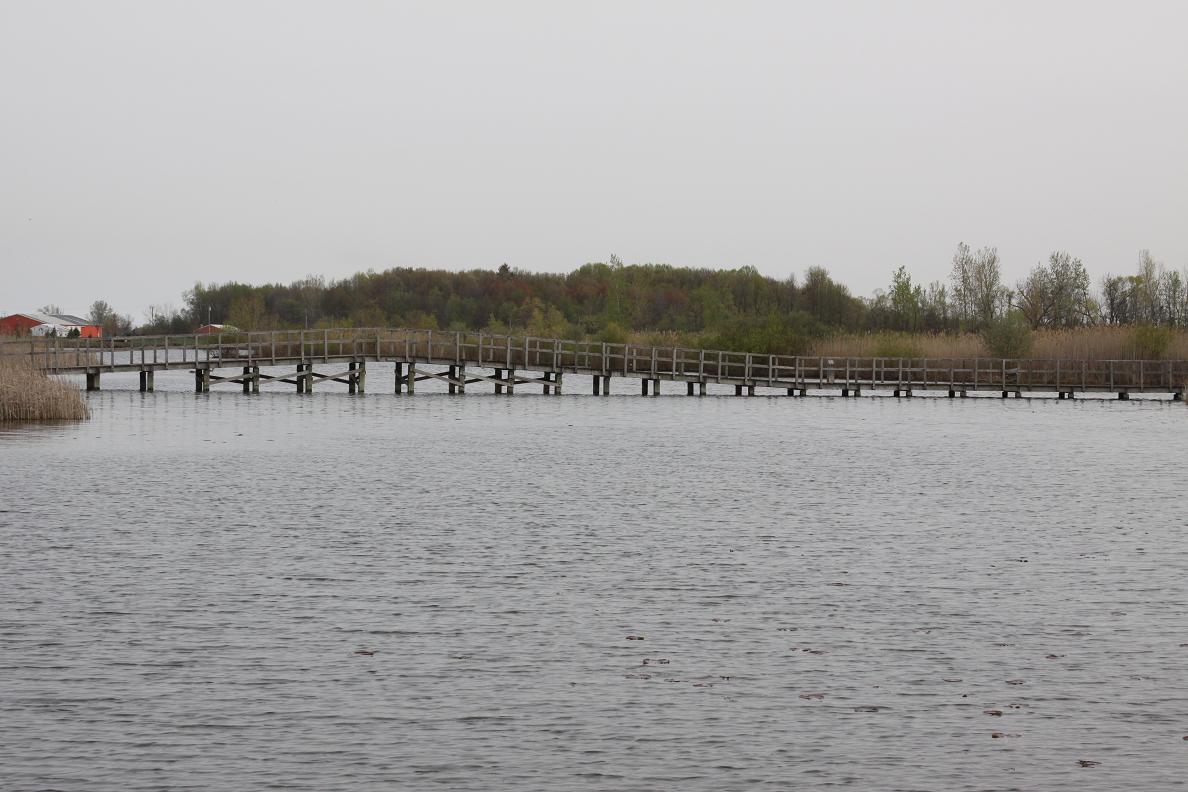 Michigan Exposures: Crosswinds Marsh