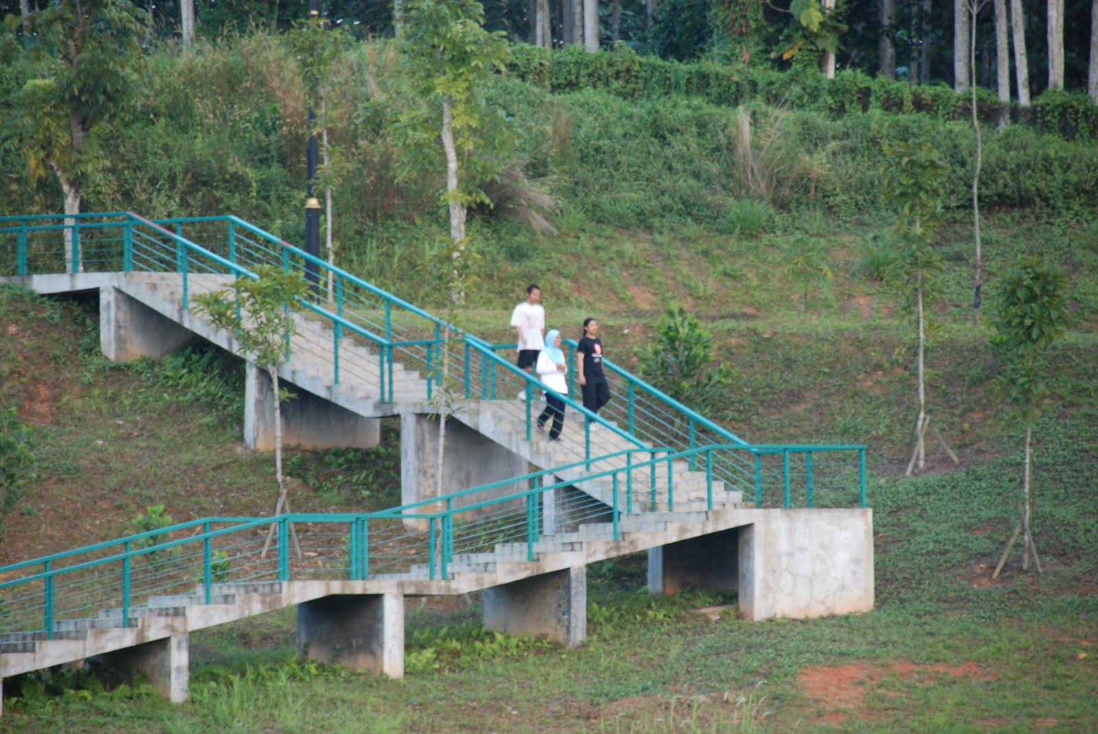 MuDeSelaLu: Ape Yang Menarik di HUTAN BANDAR KULAI....JOHOR