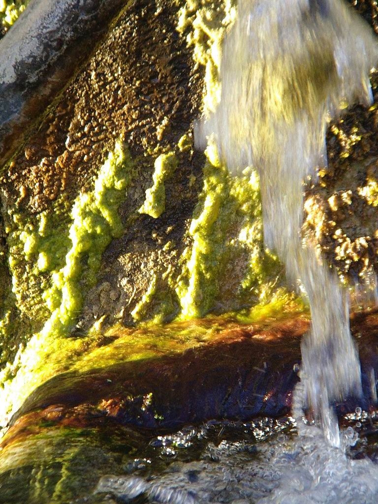 Lisa in Italy: Catania, Sicily