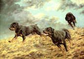 Luther The Wolf Dog: The History of Rottweilers, Mastiffs, and German ...