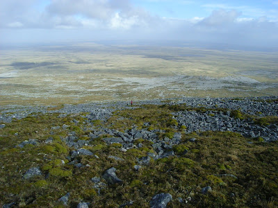 Wilkgo: Mount Usborne