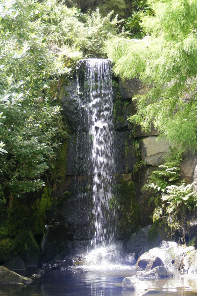 LOOKING IN THE SQUARE