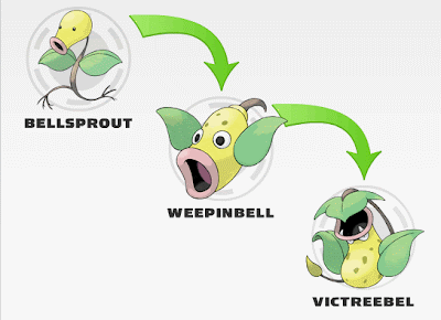 Pokemon Evolução: Evolução Bellsprout