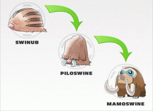 Pokemon Evolução: Evolução Swinub