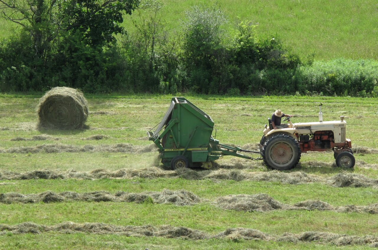 The Joyce Road Neighborhood: Making Hay
