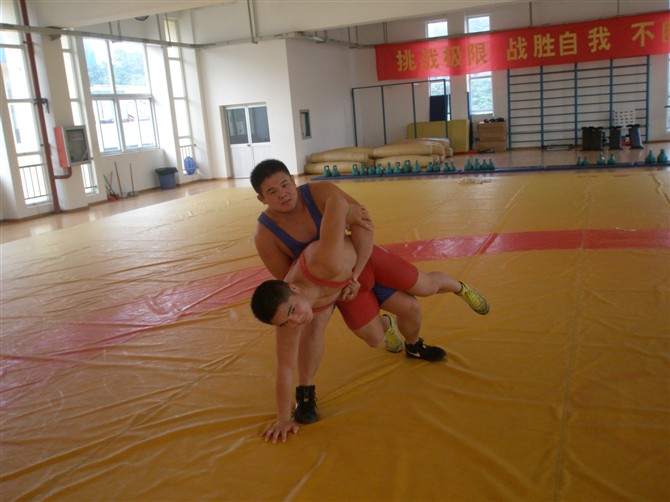 Asia Battle: Chinese Wrestlers