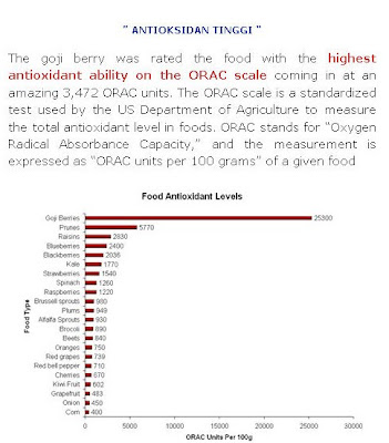 goji: Buah Goji, apa itu?