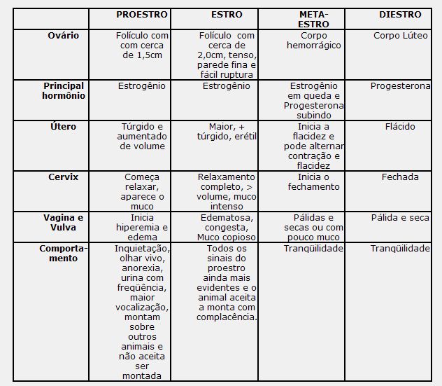 Reprodução Animal-Fêmeas Bovinas: Ciclo Estral (Resumo)
