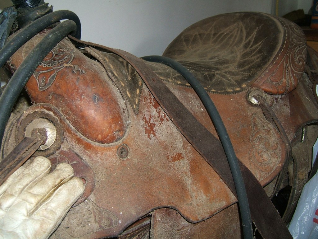 Ruthlynn's World: Longhorn Saddle