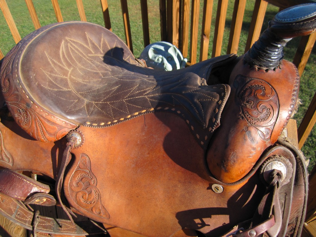 Ruthlynn's World: The Longhorn Saddle