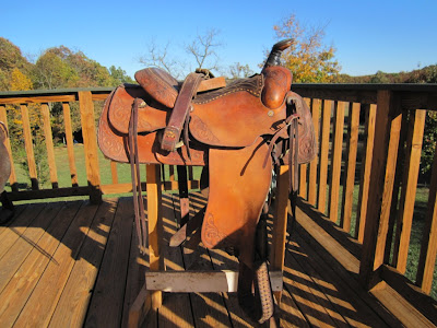 Ruthlynn's World: The Longhorn Saddle