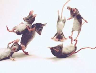 MousesHouses: March 2010