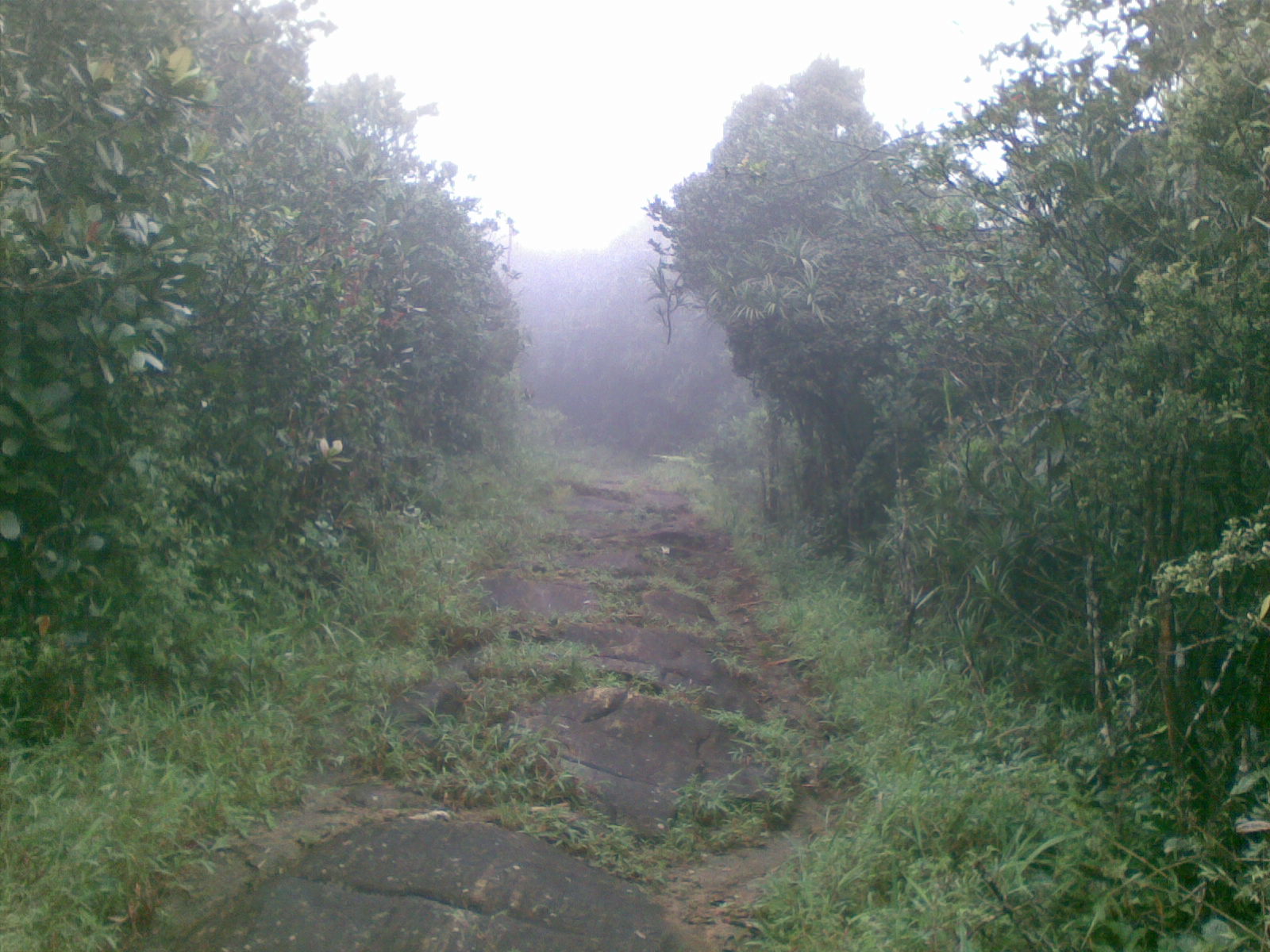 My World: AVARE SIRI PADE (Adam's Peak Sri Lanka)