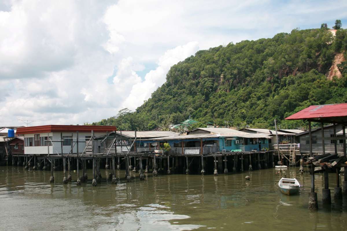 Java and Borneo 2010