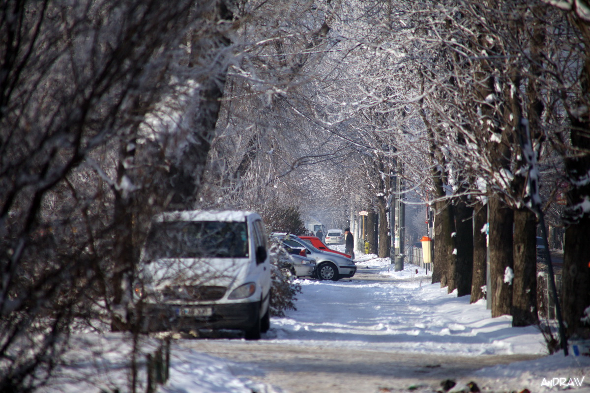 despre viata prin fotografie: Excursie foto pe Strada Liniei