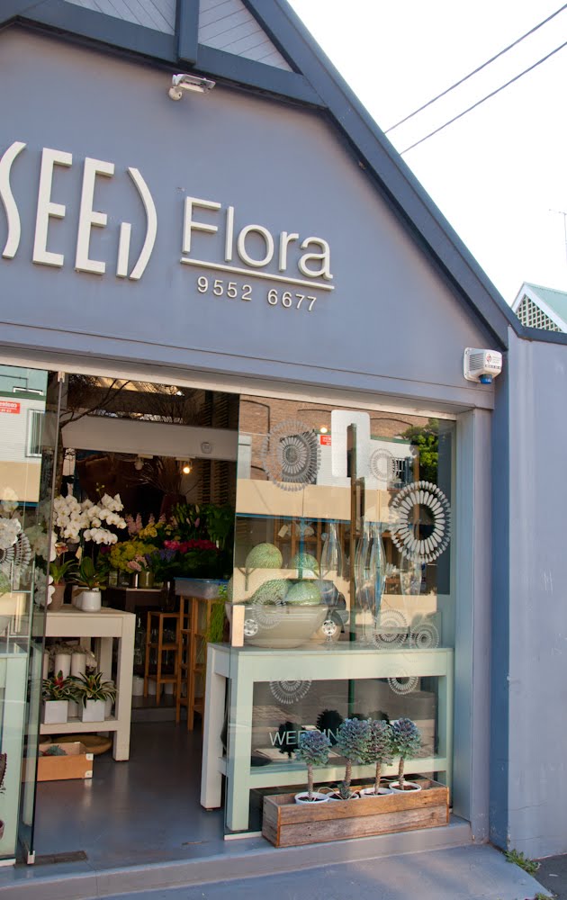 A Place A Day: Seed Flora