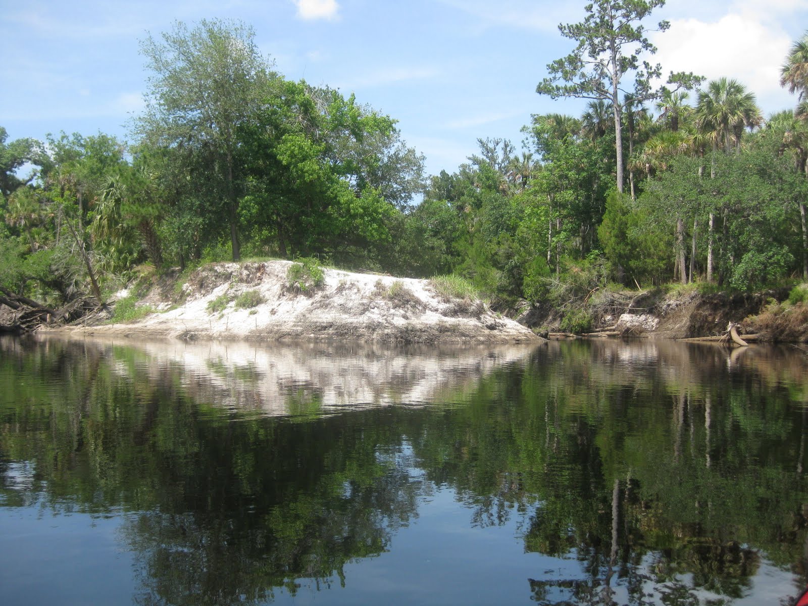 Dave's Yak Tales: Econlockhatchee River