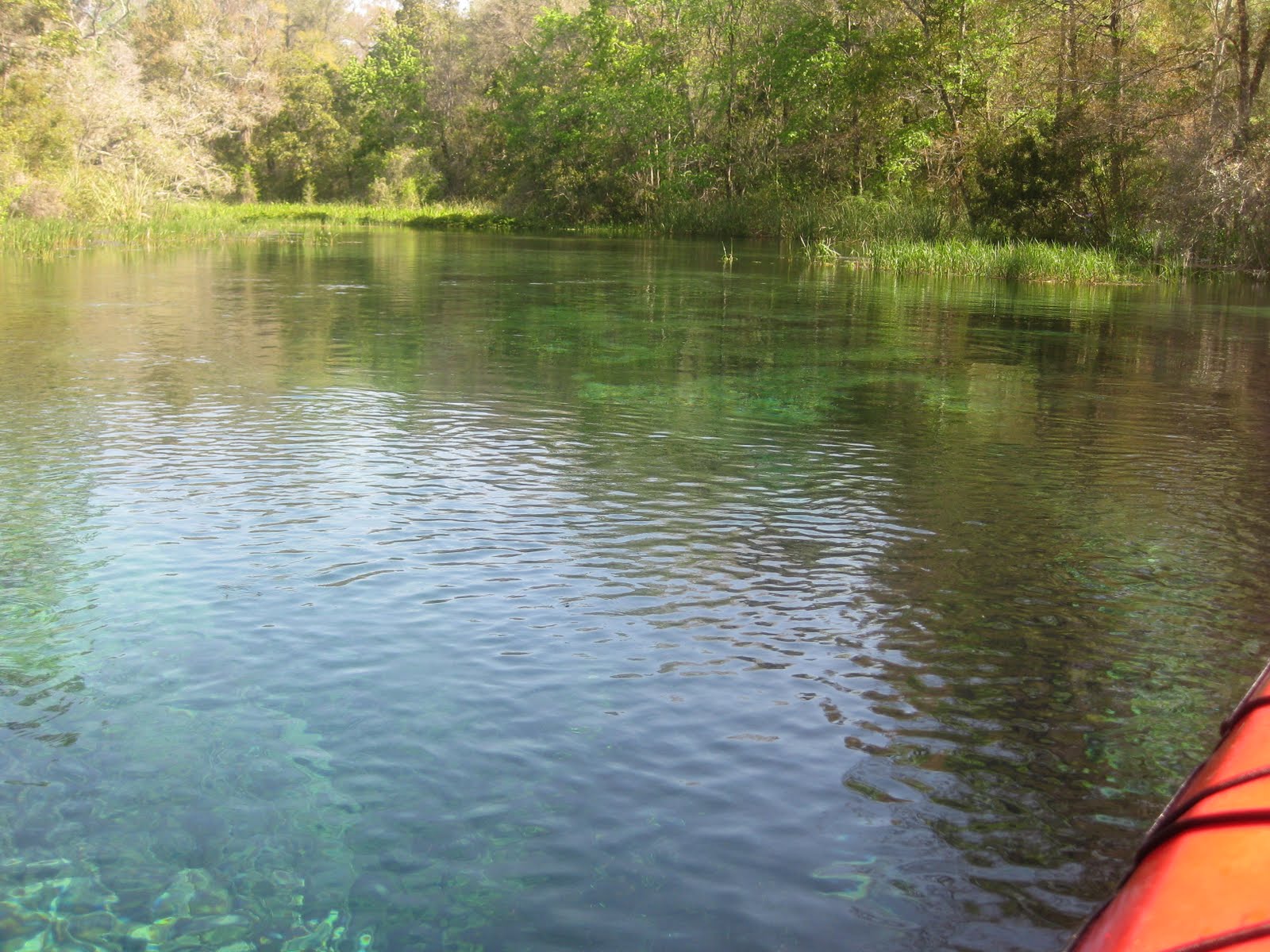 Dave's Yak Tales: Gum Slough