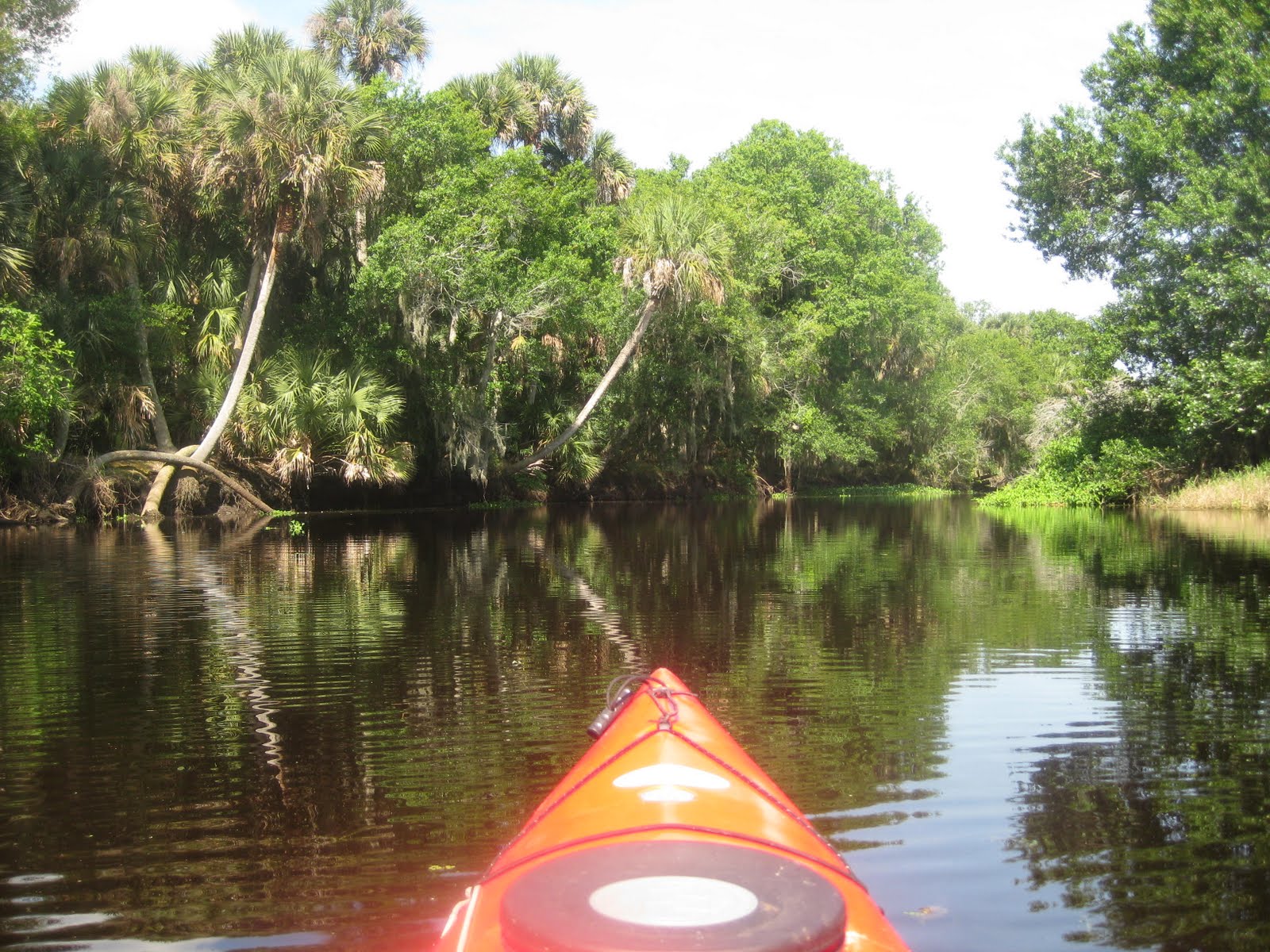 Dave's Yak Tales: Myakka River