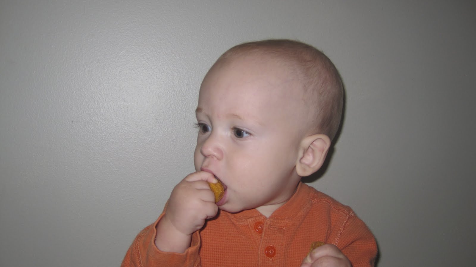 Queen Christine's Decrees: Jax' Snacks: Num Num Nummies Recipe Using ...