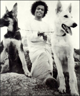 Sathya Sai baba: FROM PUTTAPARTHI...THE CHARIOTEER OF YOUR LIFE