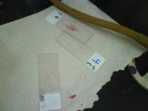 4L2M Velarde Hernandez MESA 5: Practica No. 5