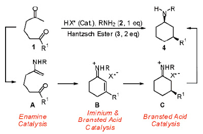 The Art of Science: Cascade Reaction