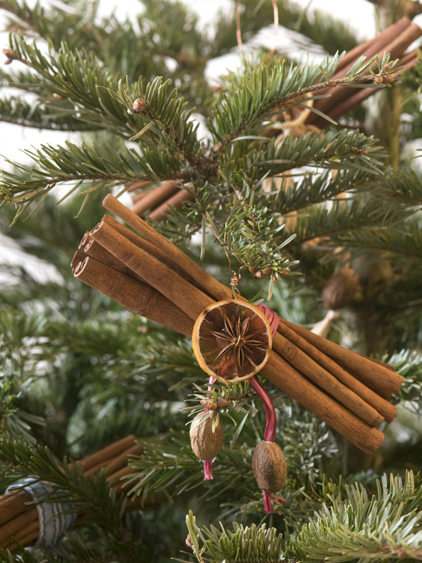 Herbs and Spice and Everything Nice: Spice Tree Ornaments