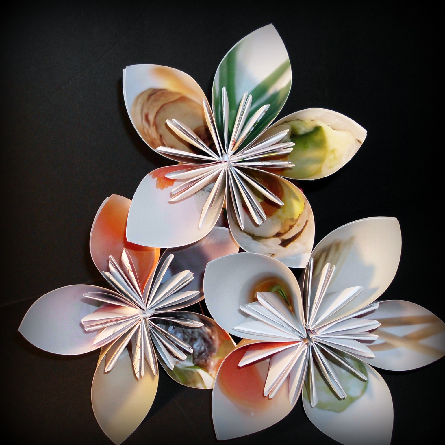 365 do-overs: January 2011