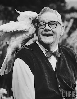 Kiwi's Angels: Cockatoo Parrot Vintage Photos