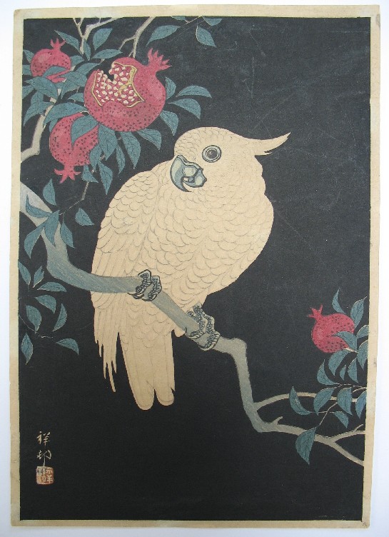 Kiwi's Angels: Japanese Parrot Art