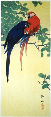 Kiwi's Angels: Japanese Parrot Art