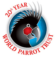 Kiwi's Angels: Parrot logos