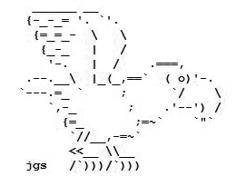 Kiwi's Angels: ASCII-Art parrots