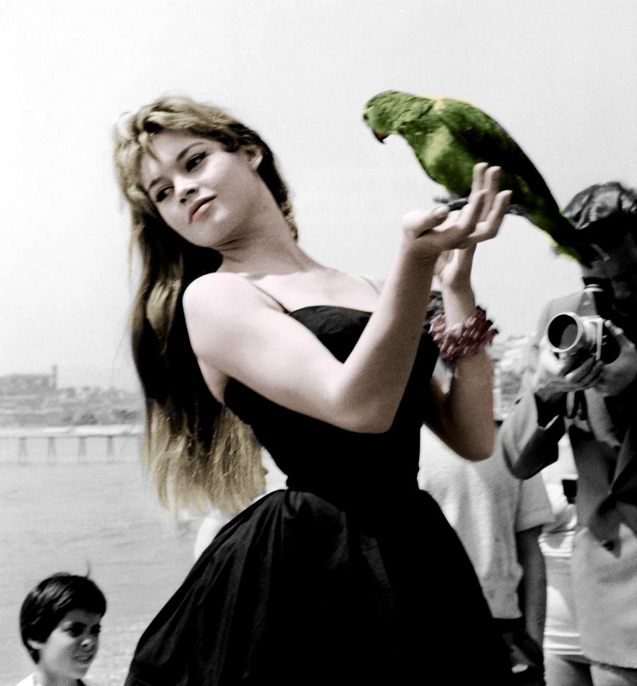 Kiwi's Angels: Brigitte Bardot with parrot