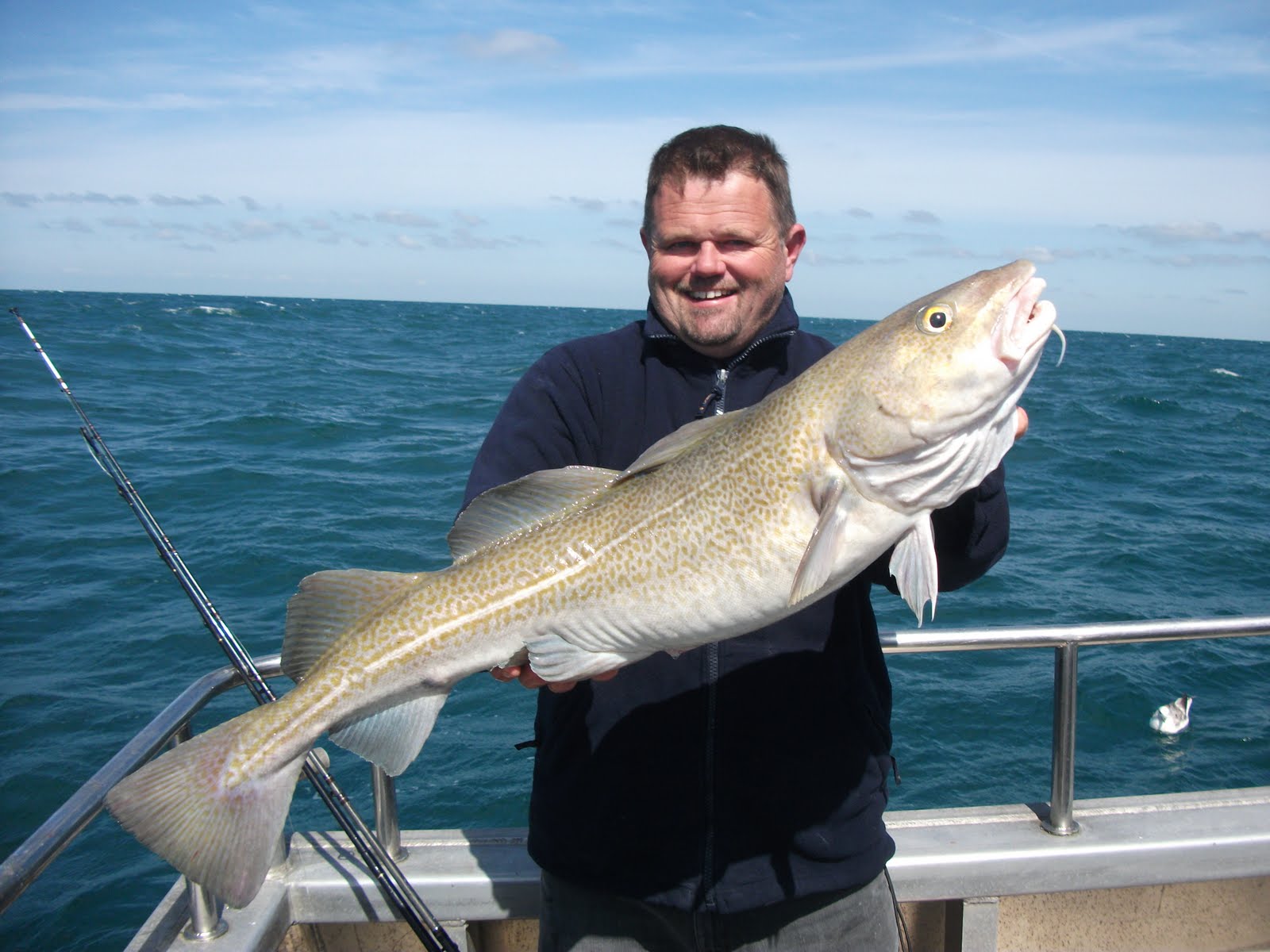 Catch Reports: April 2010