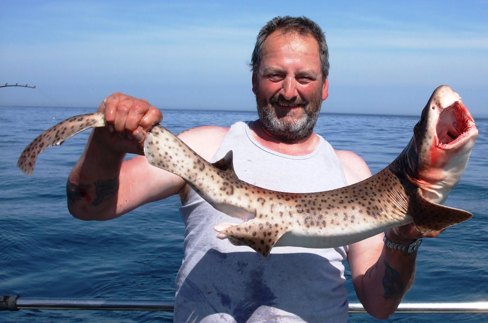 Catch Reports: June 2010