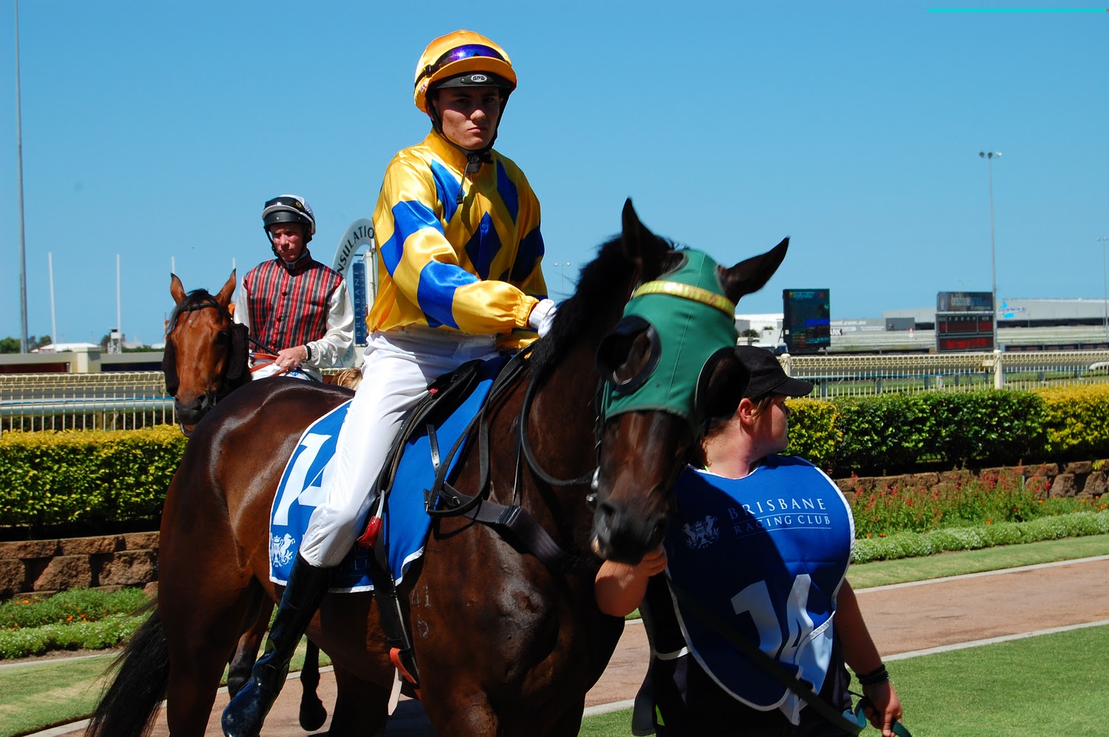 Brisbane Daily Photo : Racing Colours